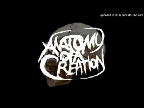 Anatomy of a Creation - Hell