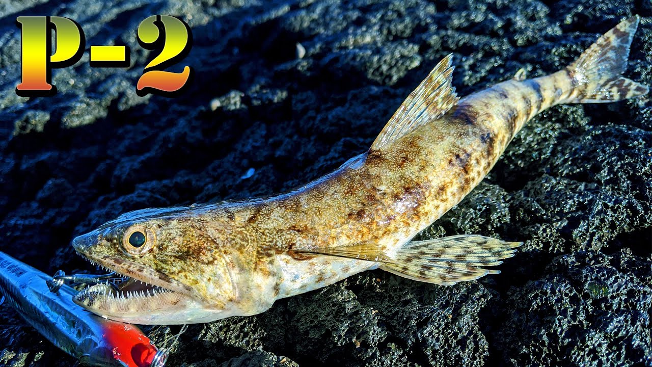 Overnight Fishing In Hawaii For Ulua (Giant Trevally) P-2 - YouTube