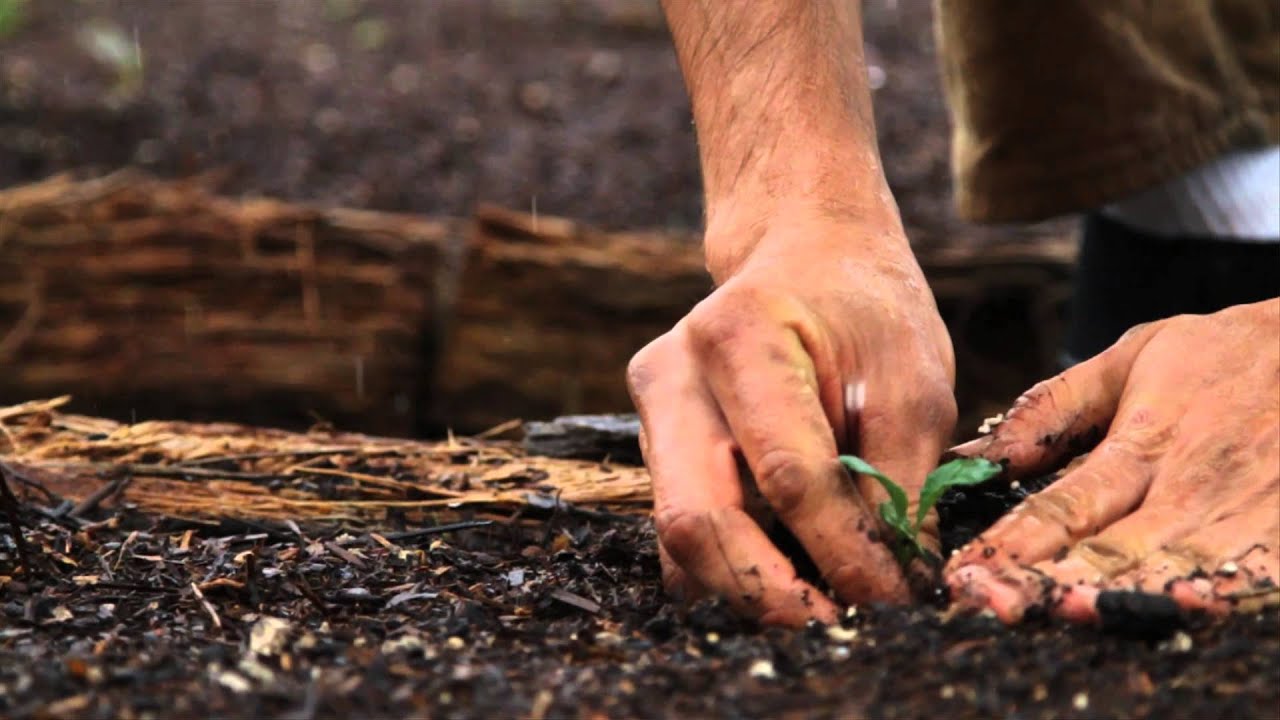 TreeHugger Organic Farms - YouTube