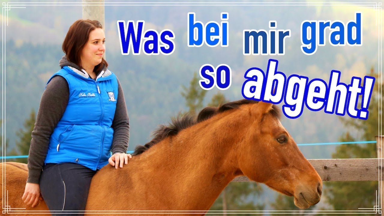 Was bei mir grad so abgeht! - YouTube