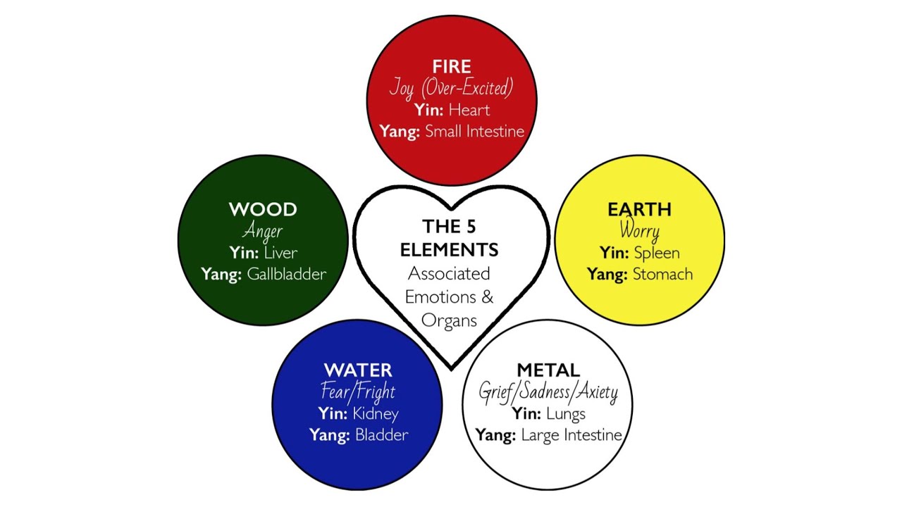 THE EMOTIONS AND THE FIVE ELEMENTS - YouTube