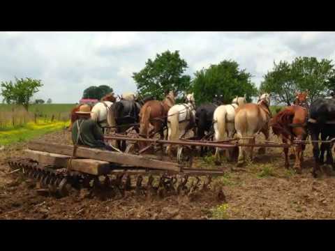 Disking With 10 Horses - YouTube