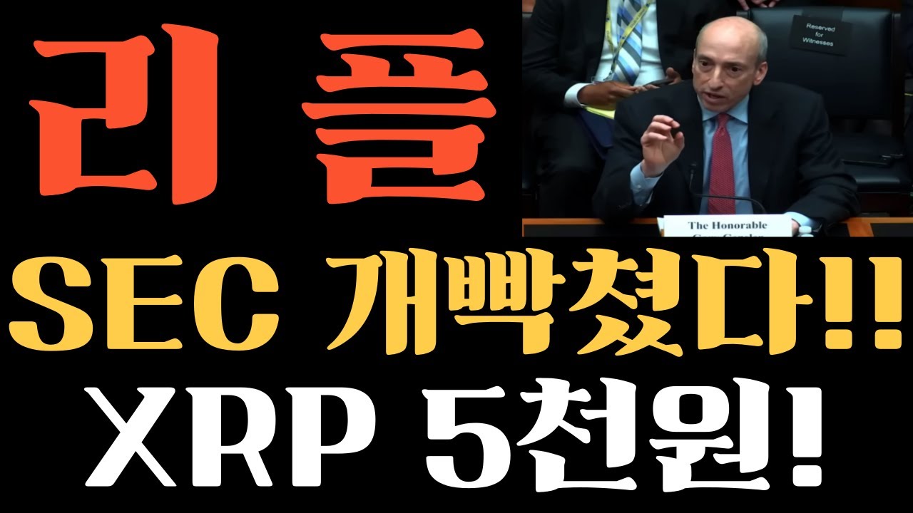 리플 코인 미국sec 겐슬러 개빡쳤다 긴급공개 Xrp 5천원 초강력호재 떴다 리플목표가 리플호재 리플전망 리플코인목표가 리플코인호재 리플코인전망