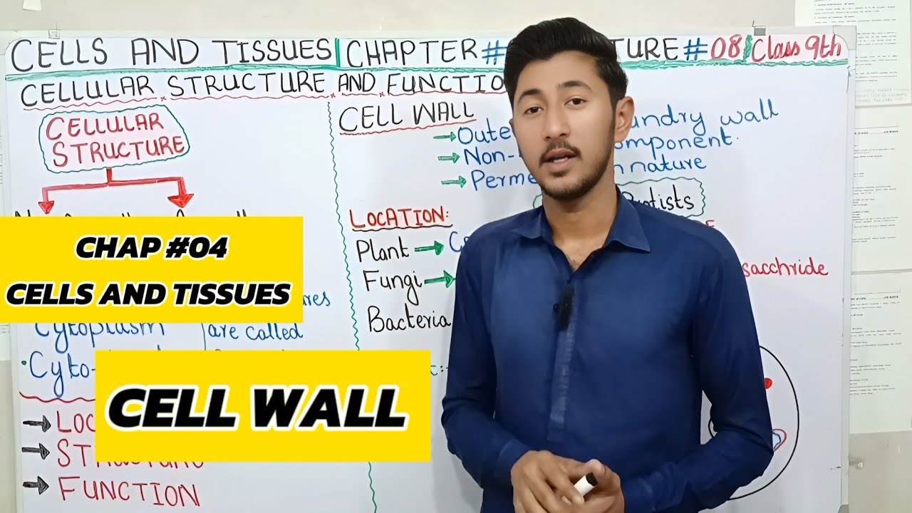 Cell Wall | Chapter 4 | Cells and Tissues | 9th Class Biology | Lec 8 ...