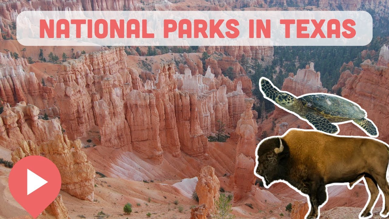 Best National Parks in Texas - YouTube