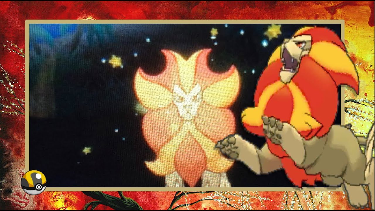 Live!!! Shiny MALE Pyroar after 10 plus months of hybernation! (Full ...