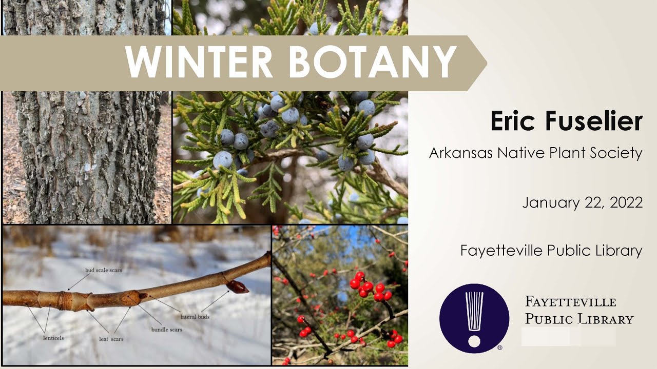 Winter Botany with Eric Fuselier - YouTube