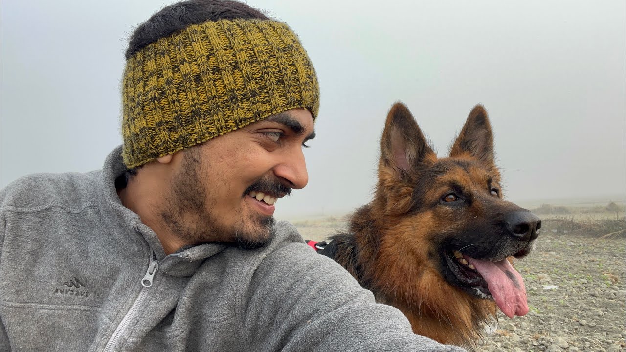 Our First Road Trip | Part - 02 | Thor the German Shepherd Dog 🐕 # ...