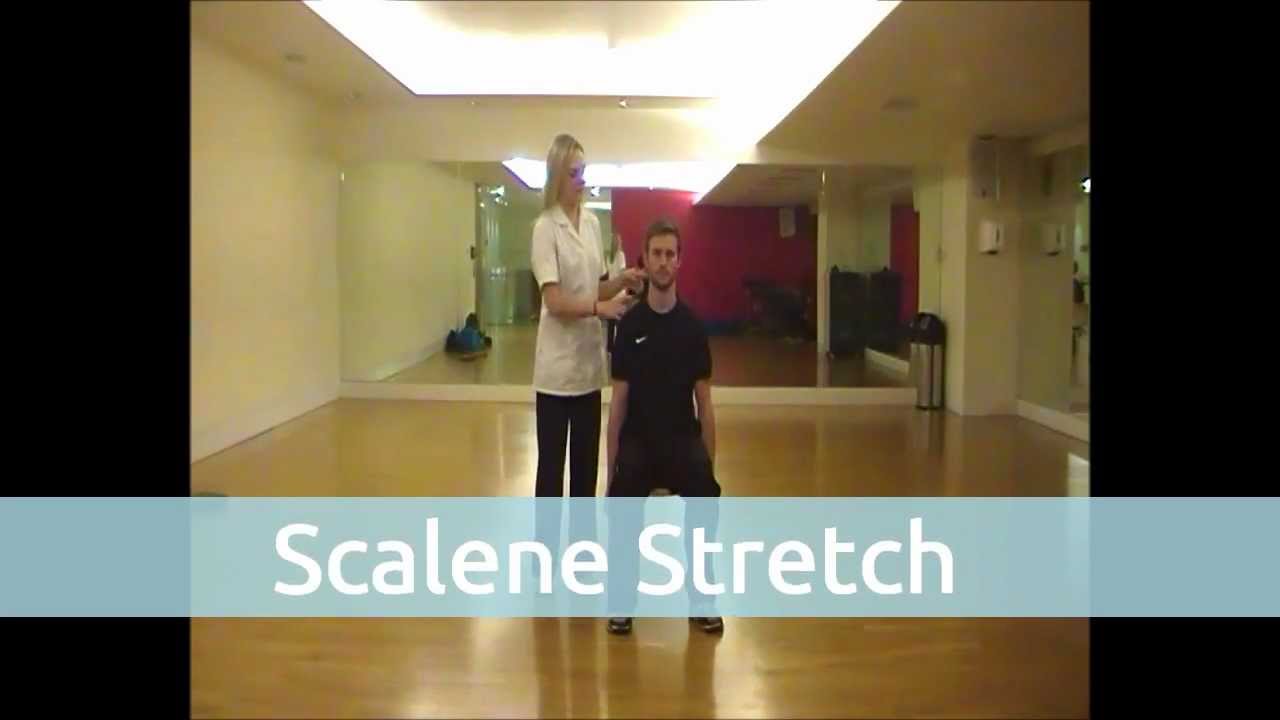 Scalene Stretch - YouTube