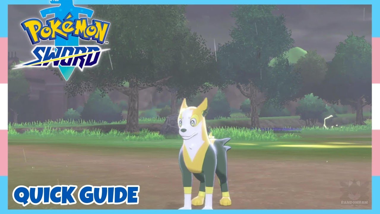 Where To Catch Boltund In Pokemon Sword & Shield | Location Quick Guide ...