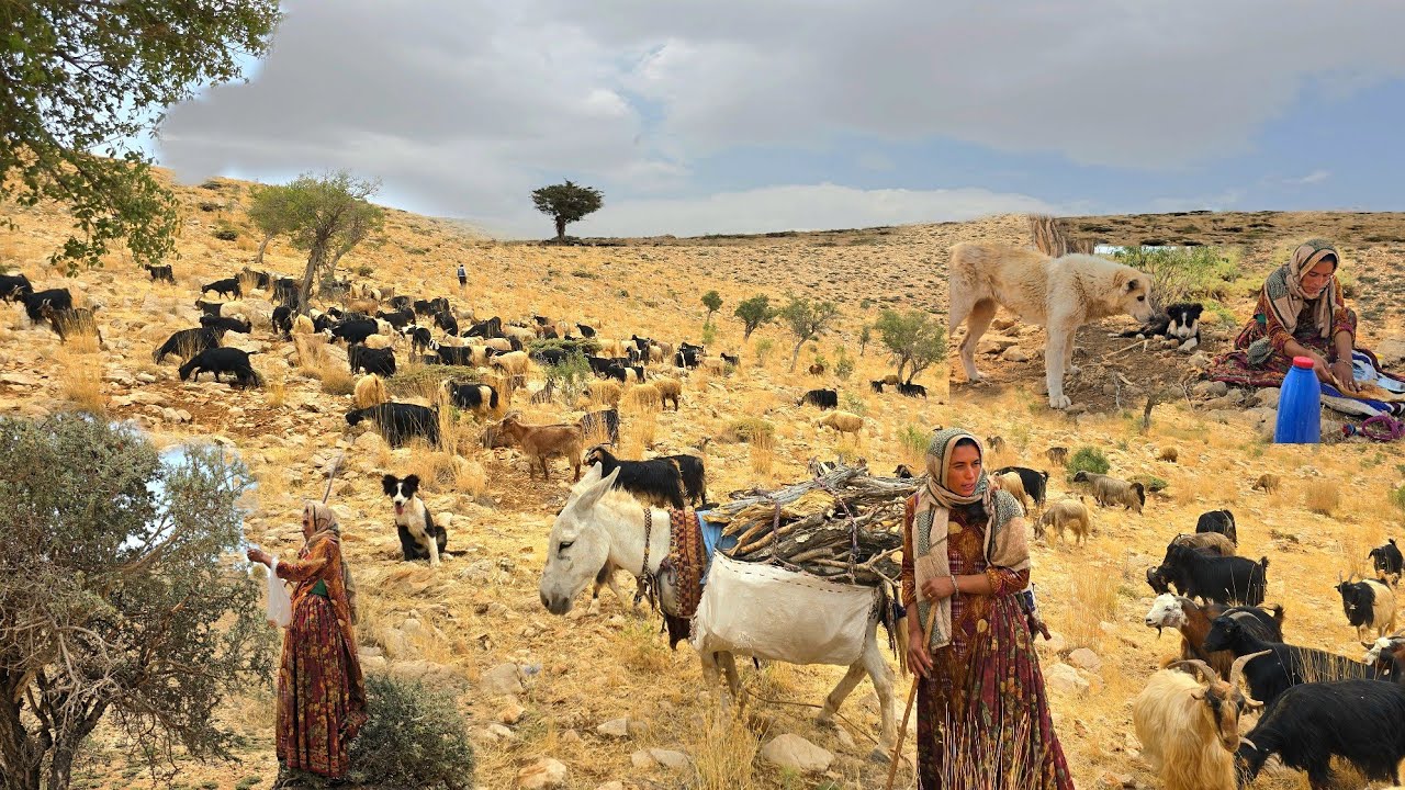 Nomadic Shepherd Girl’s Journey | Life in Semi-Rainy Mountains 🌧️⛰️ ...