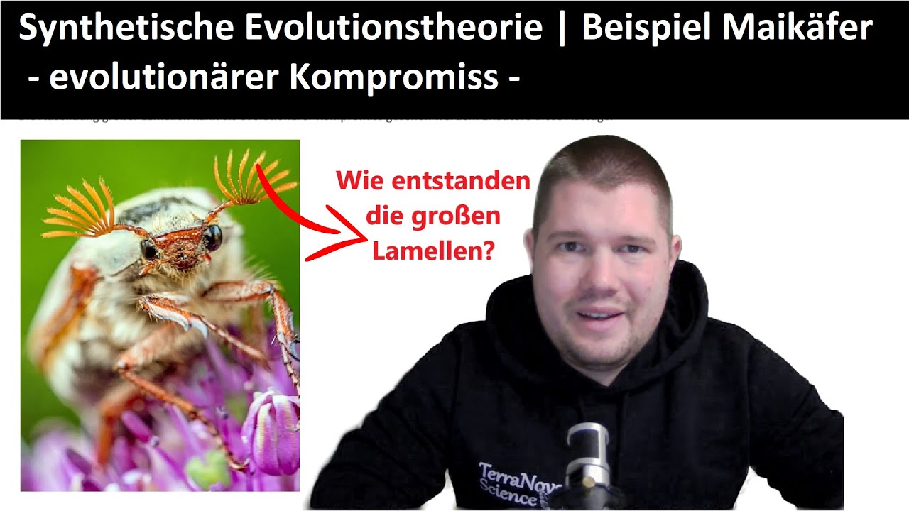 ABI-TRAINING - Evolution (4): Synthetische Evolutionstheorie ...