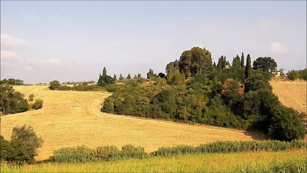 Estate - campagna di San Michele a Torri - YouTube
