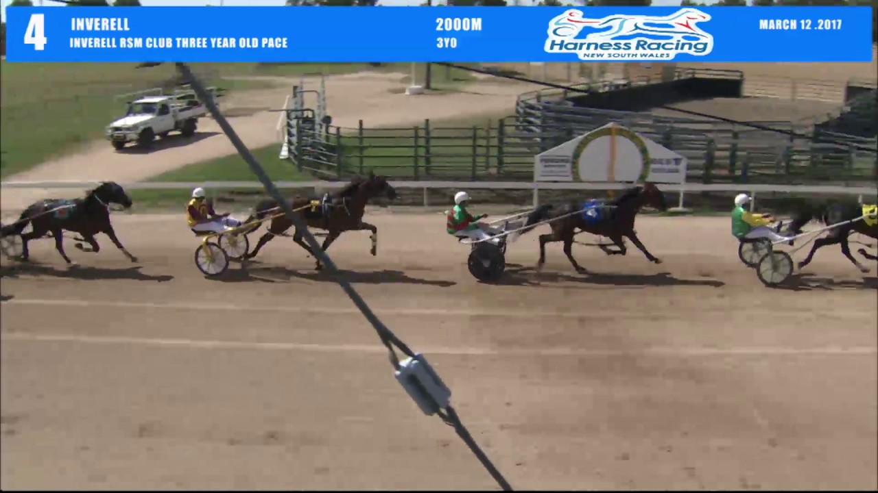 INVERELL - 12/03/2017 - Race 4 - INVERELL RSM CLUB THREE YEAR OLD PACE ...