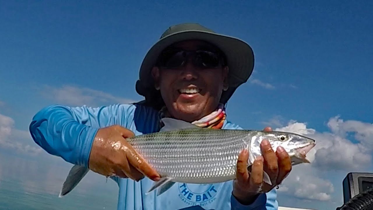 Key West Backcountry Bonefishing - YouTube