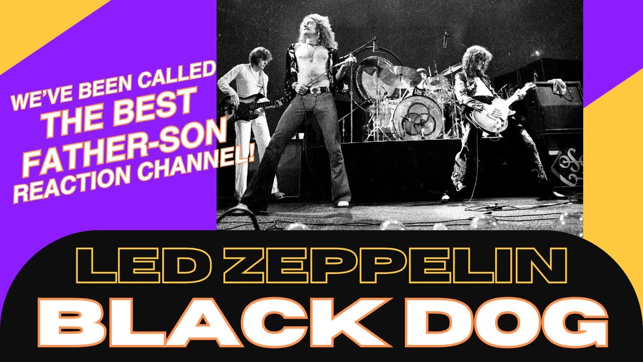 LED ZEPPELIN Reaction! BLACK DOG Live! - YouTube