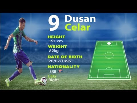 Dusan Celar Highlights 2019 - YouTube