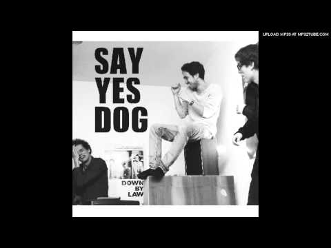 Say Yes Dog - Love You Back - YouTube