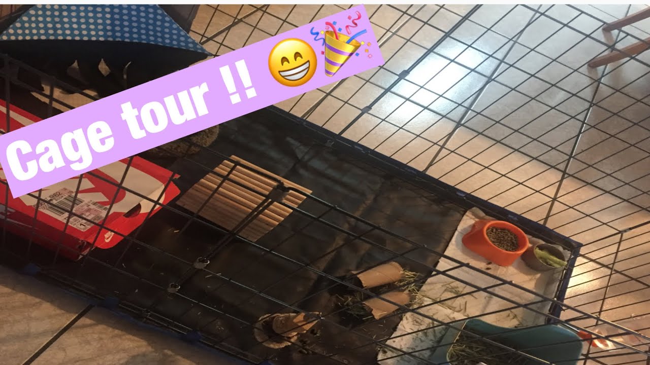 2020 cage tour!! - YouTube
