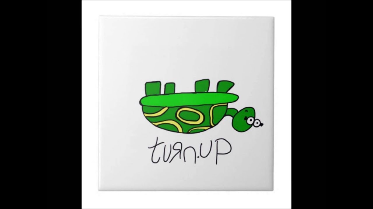 "TURTLE TURN UP INSTRUMENTAL" (PRODUCED BY MAKO) - YouTube