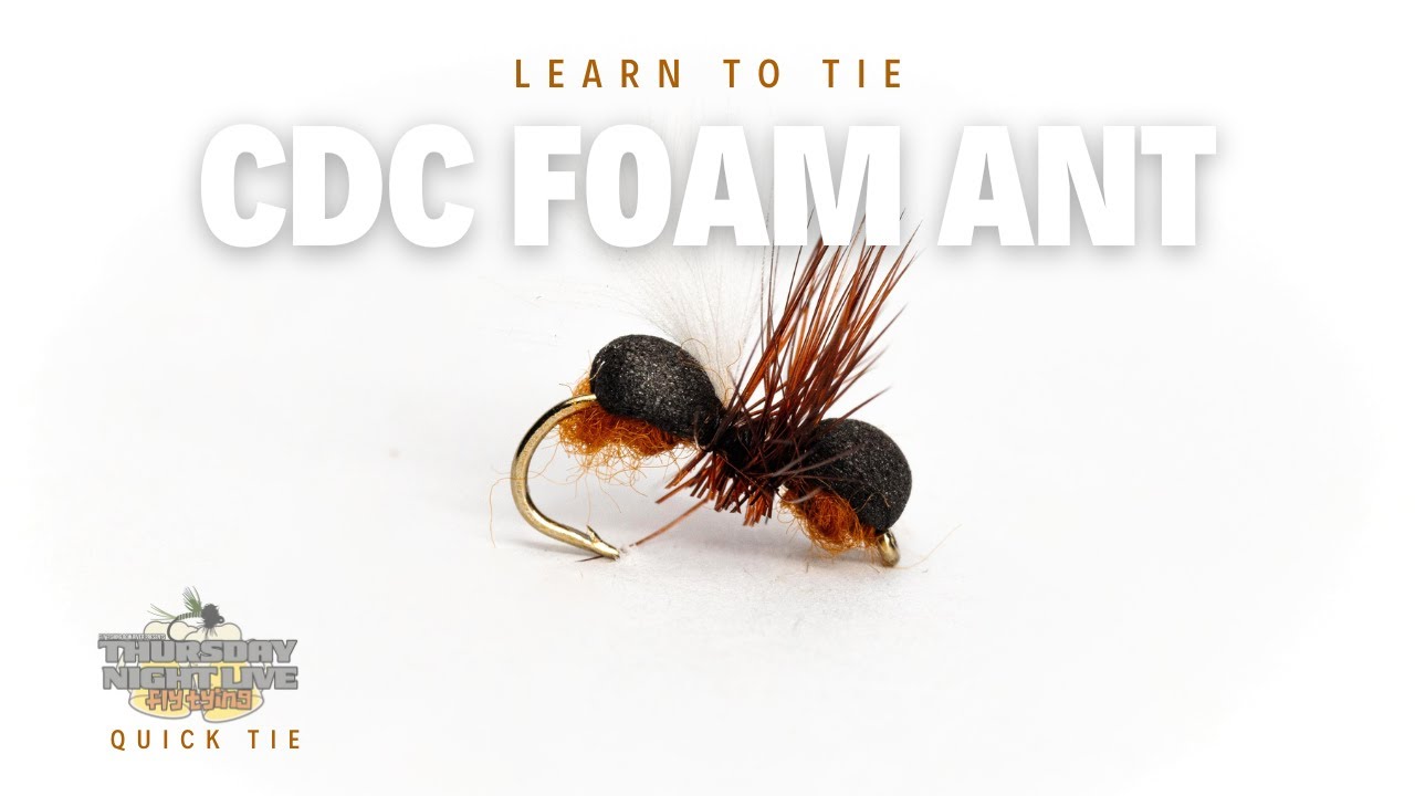 Mastering the CDC Ant Fly: Step-by-Step Tying Tutorial - YouTube