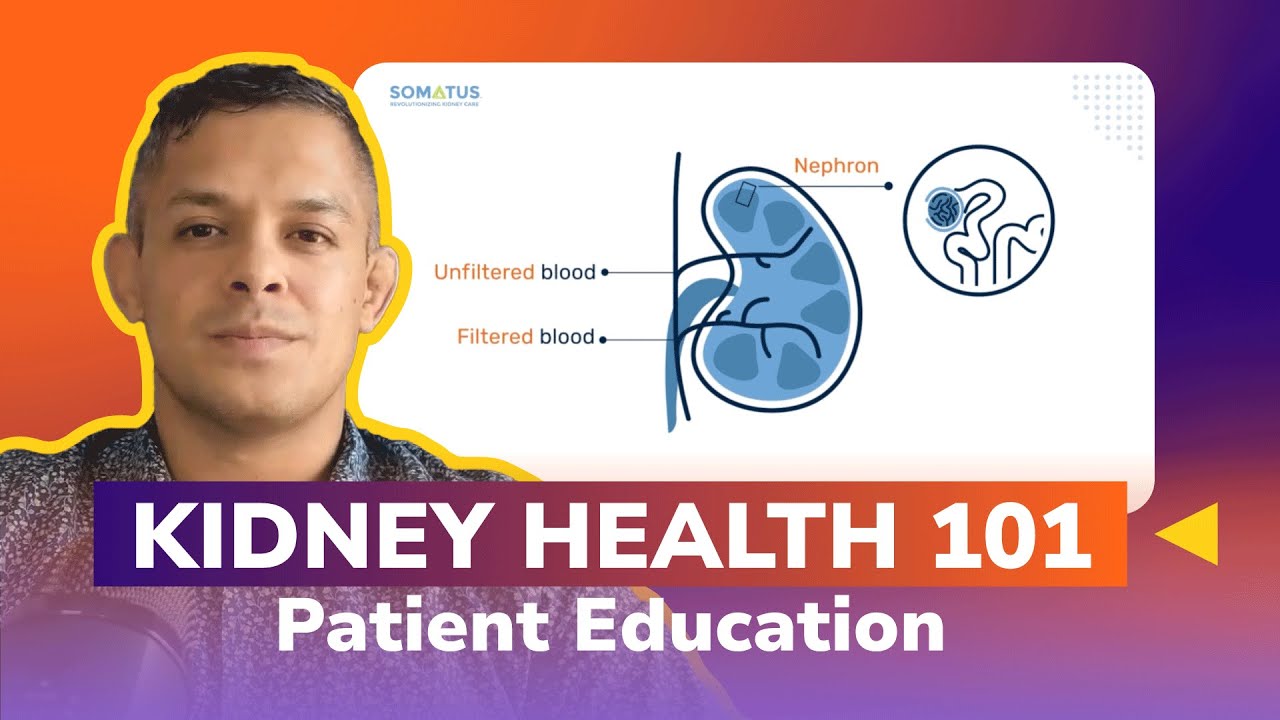 Understanding Kidney Health 101: Somatus's Engaging Patient Education ...
