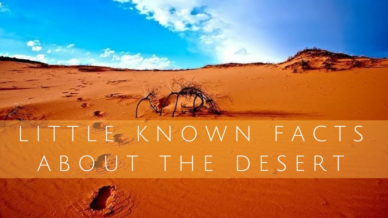 Little Known Facts About The Desert YouTube little-known-facts-about-the-desert-youtube