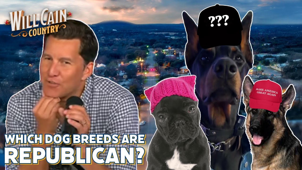 Is Your Dog a Republican or Democrat? We Break It Down by Breed - YouTube