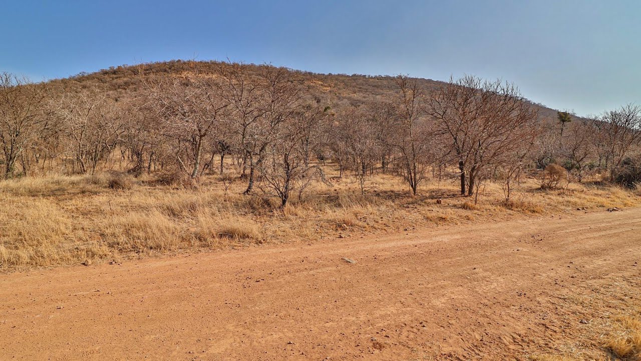 Erf 5 (&6) Karma Game Ranch, Leeuwkuil Dr, Midvaal - YouTube