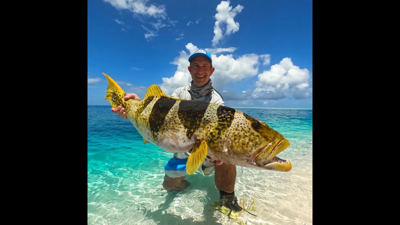 Seychelles Paradise - Farquhar Atoll Guide's POV - YouTube