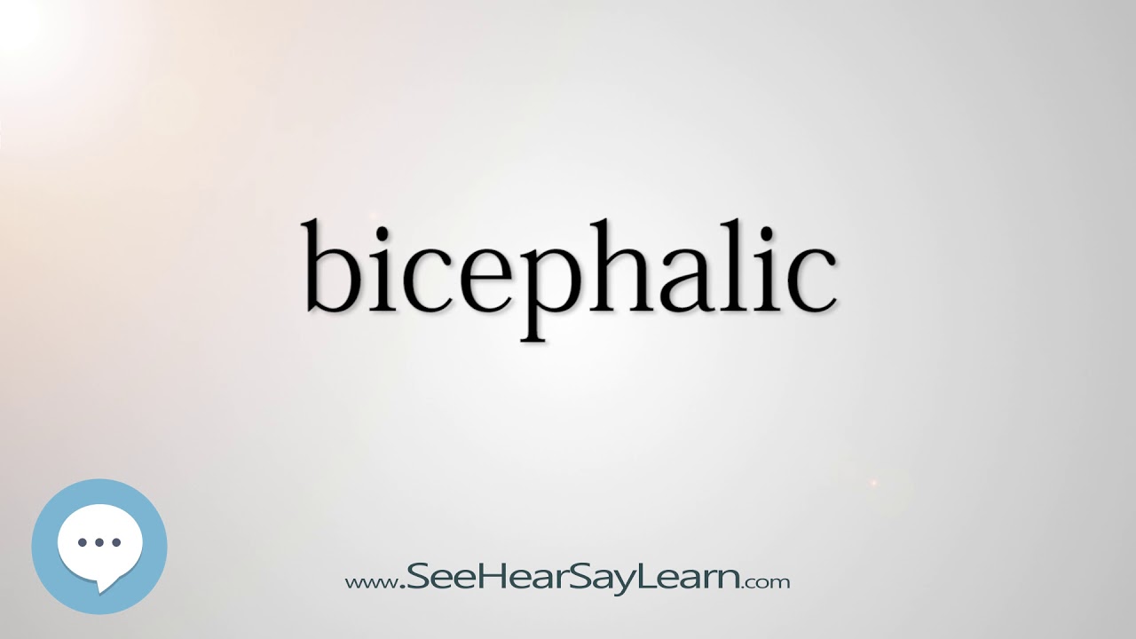 bicephalic - YouTube