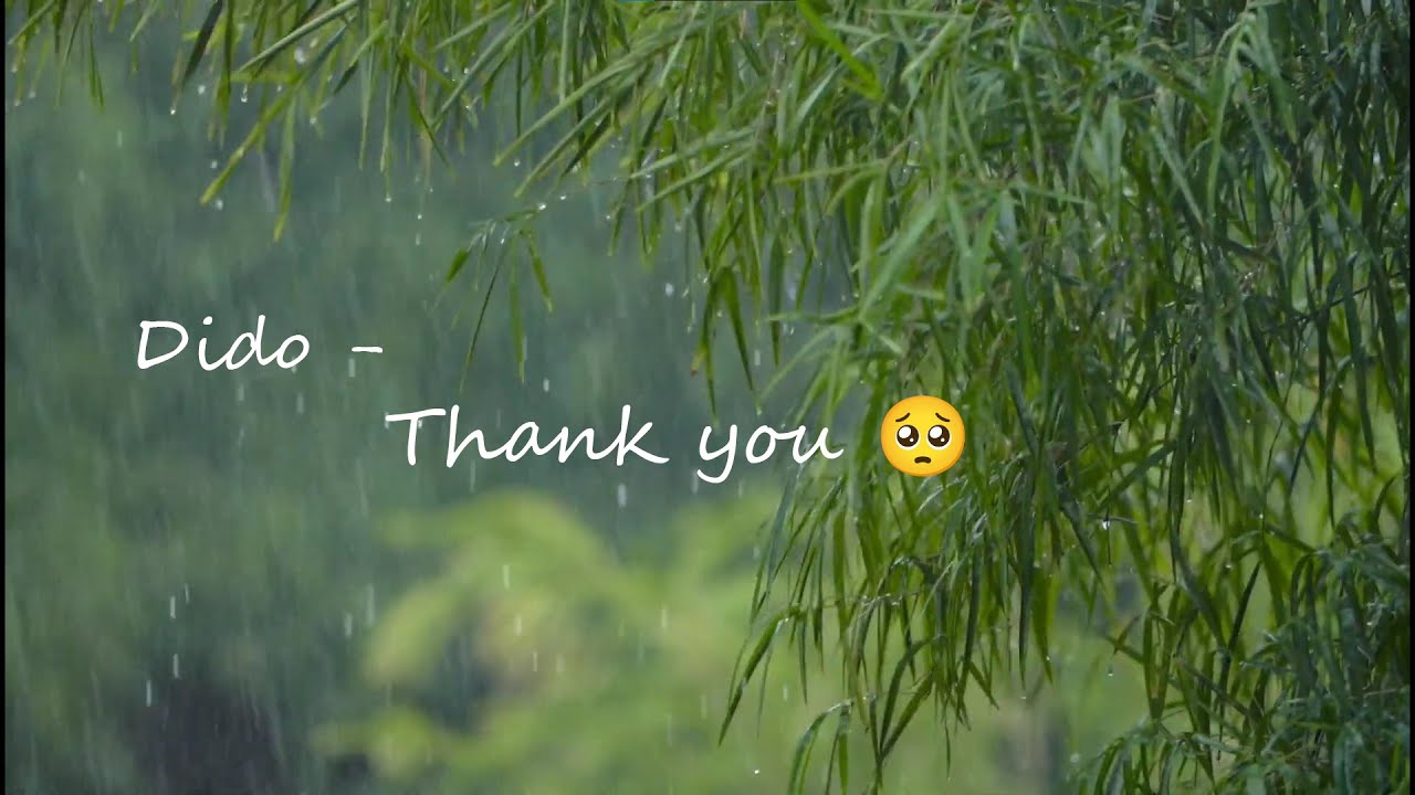 Thank you + rain sound effect (sad version) - YouTube
