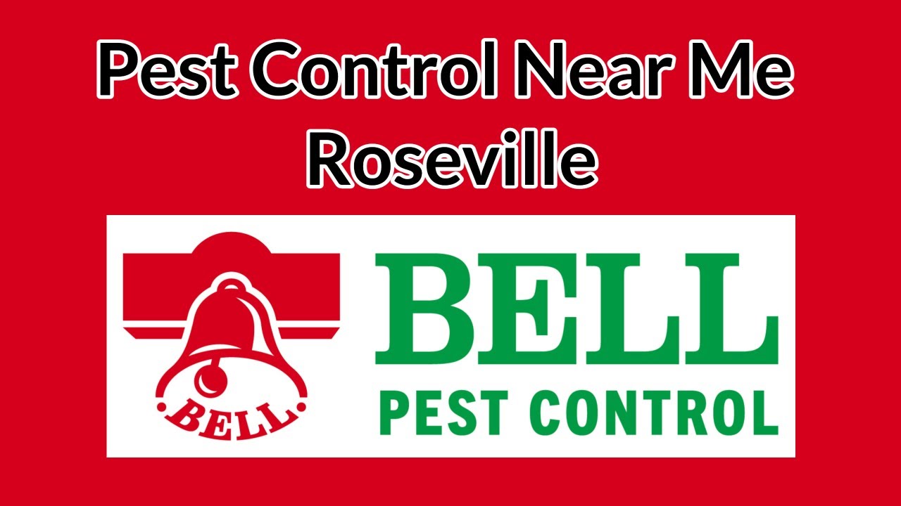 Pest Control Near Me Roseville California - YouTube