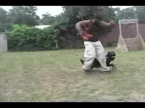 Donovan Pinscher - YouTube