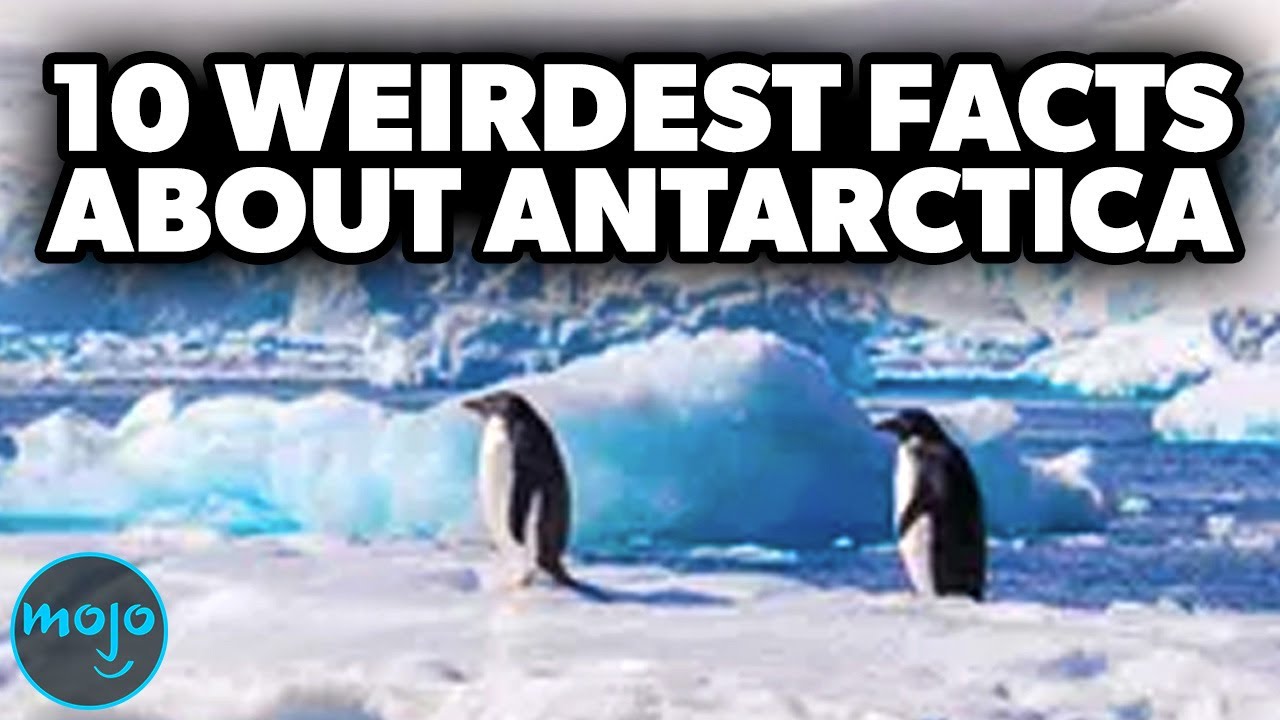 Top 10 Weirdest Antarctica Facts - YouTube
