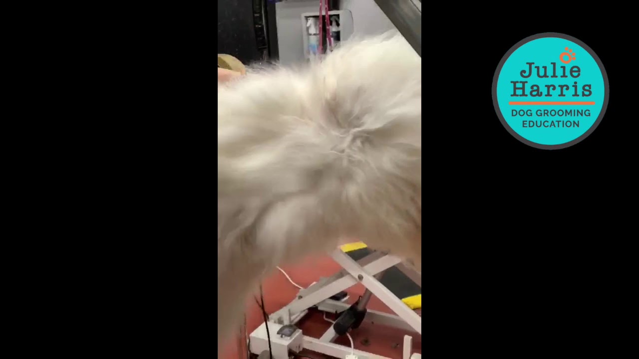 Fluff Drying helps create a great surface for clipping - YouTube