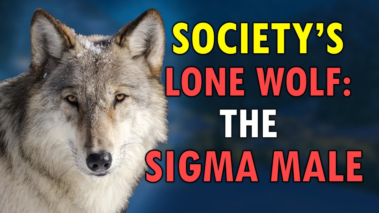 Why Sigma Males Lead The Lone Wolf Lifestyle : 7 Top Reasons - YouTube