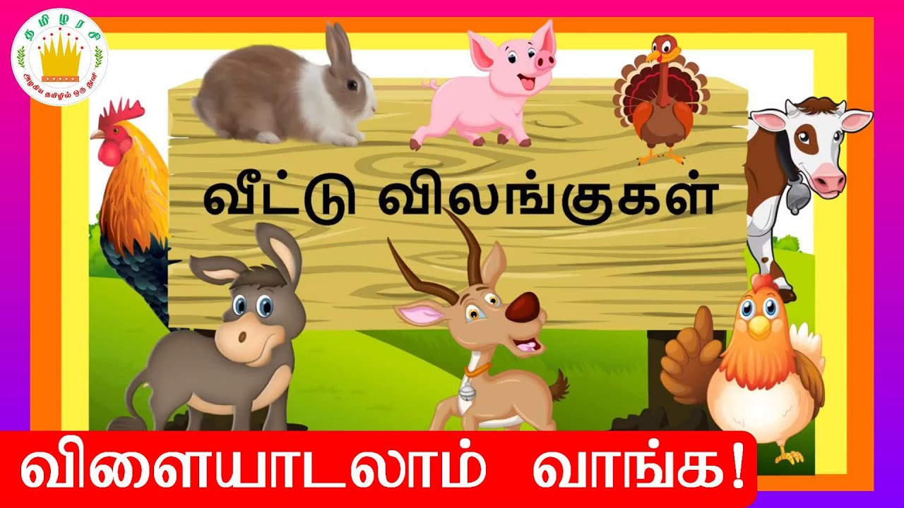 Veetu Vilangugal| Learn Farm Animals Name in Tamil|Tamilarasi - YouTube