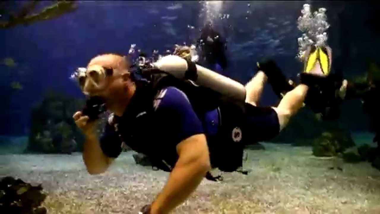 Epcot Dive Quest - YouTube