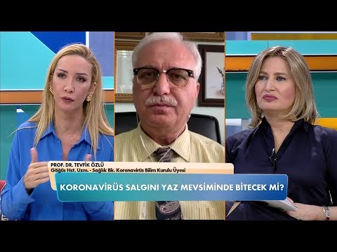 Koronavirüs salgını yaz mevsiminde bitecek mi? Balçiçek İle Dr.Cankurtaran 106. Bölüm