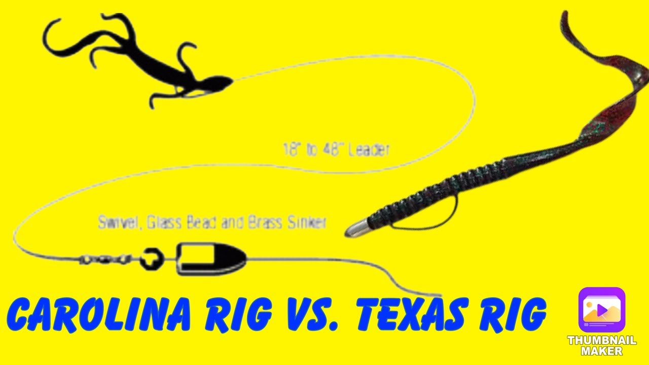 Texas Rig vs. Carolina Rig - YouTube
