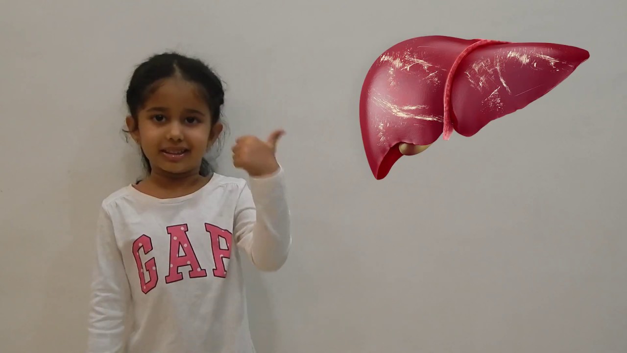 Inside body Parts | Human Autonomy | Organs of the body | Learn and Fun ...