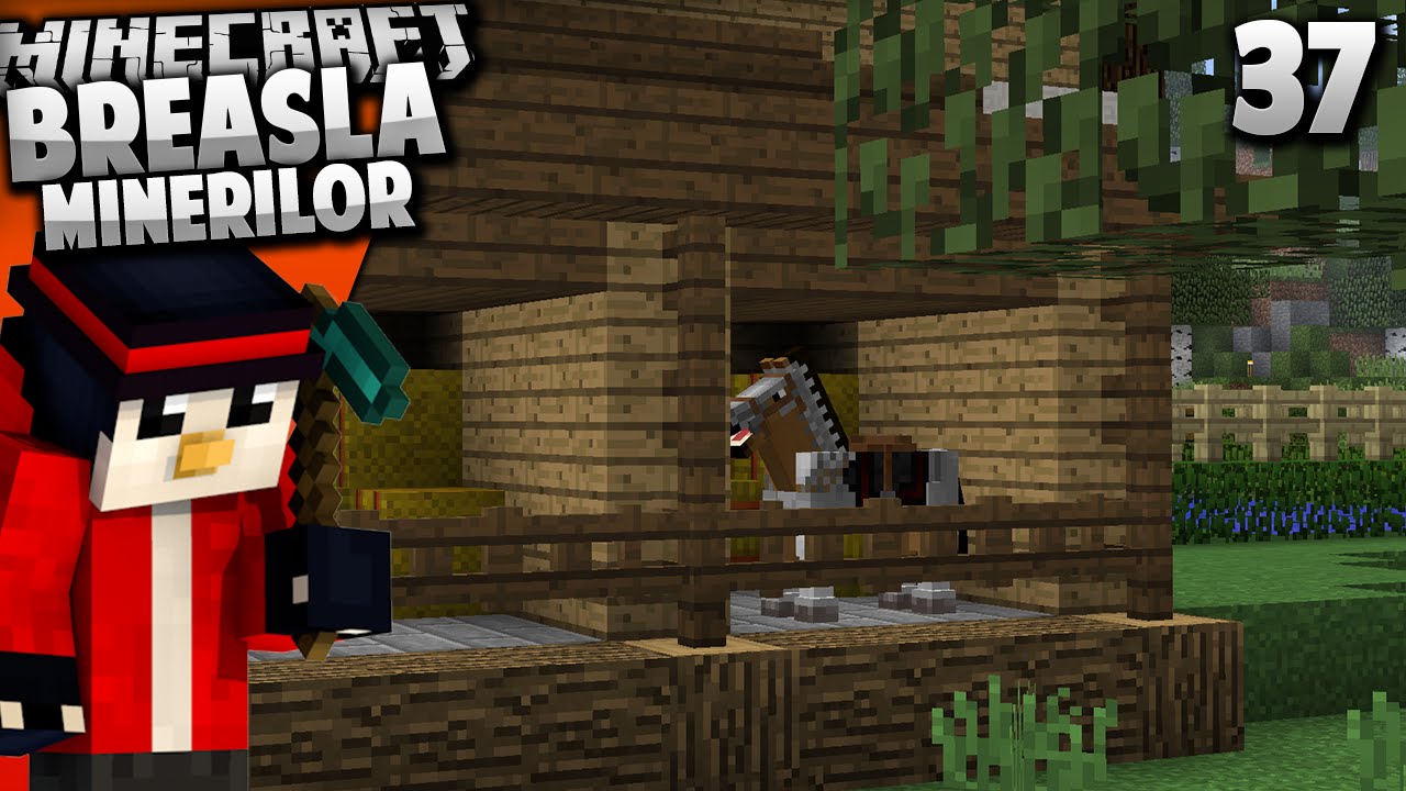 Breasla Minerilor | Minecraft SMP | GRAJD pentru cai! [Ep.37] - YouTube