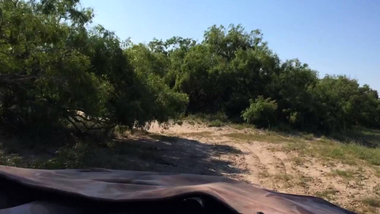 Scimitar Oryx Hunt At Los Tres Mesquites Ranch - YouTube