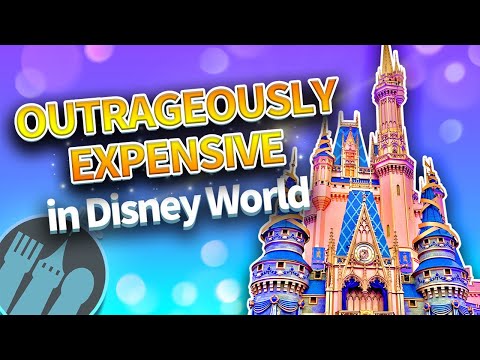 14 Outrageously Expensive Things In Disney World That Are Still Worth ...