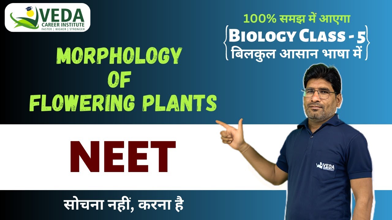 MORPHOLOGY OF FLOWERING PLANTS | LEA | CLASS 11 | NEET | PART - 5 ...