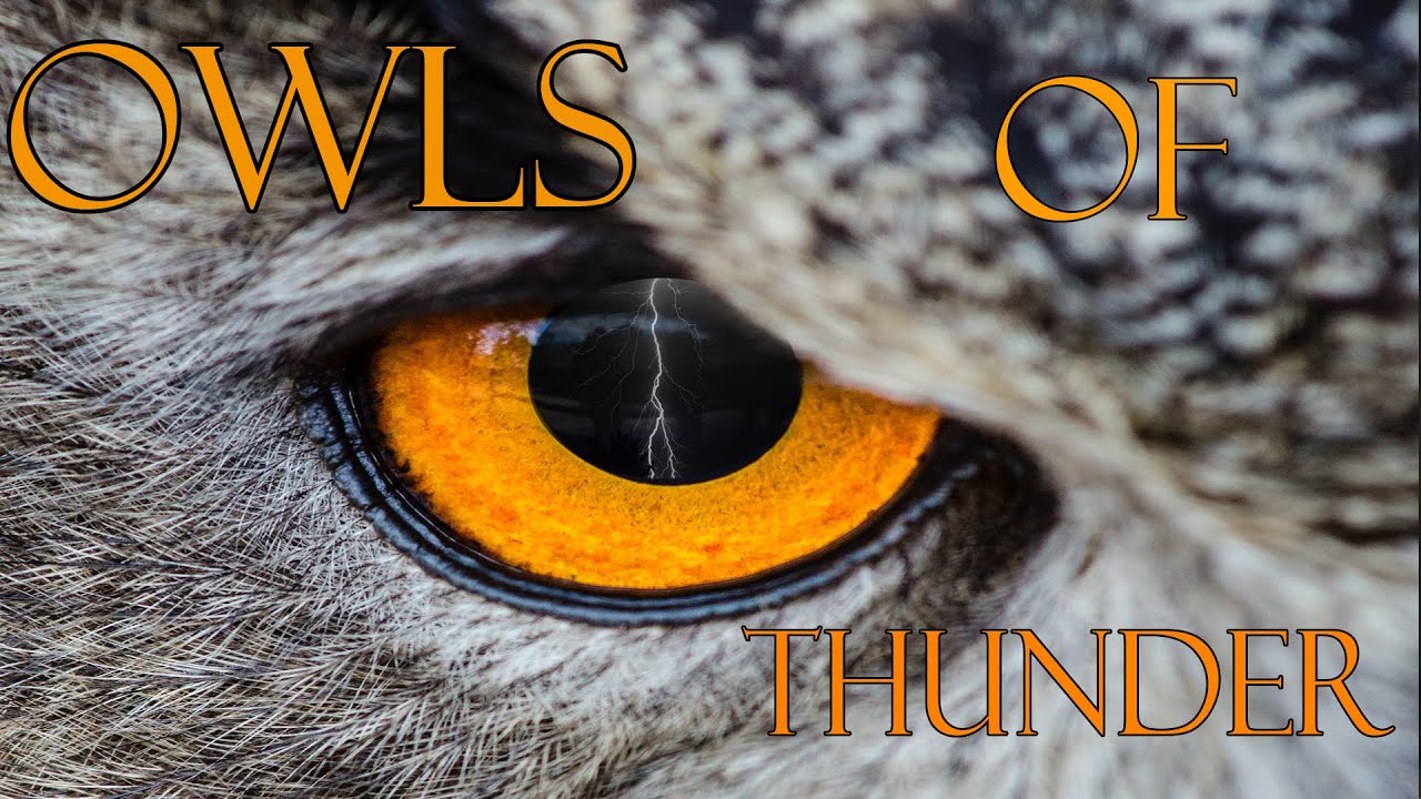 Owls of thunder - YouTube