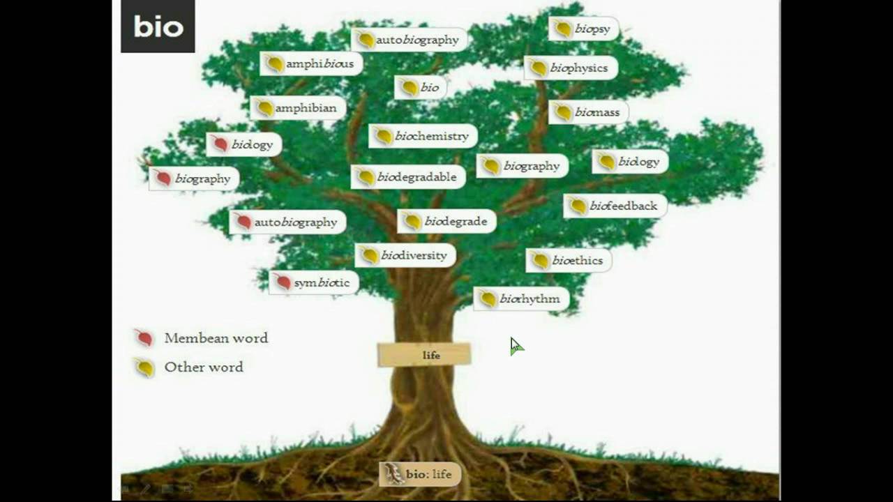 Vocabulary Learning Using Roots (Episode 05) - YouTube