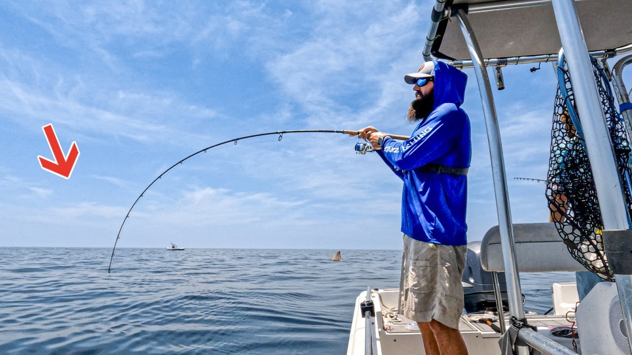 EVERYONE Will Keep THIS Fish after Seeing This! (Catch&Cook) - YouTube