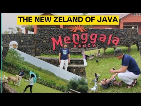 MENGGALA RANCH, CILONGOK, BANYUMAS - YouTube